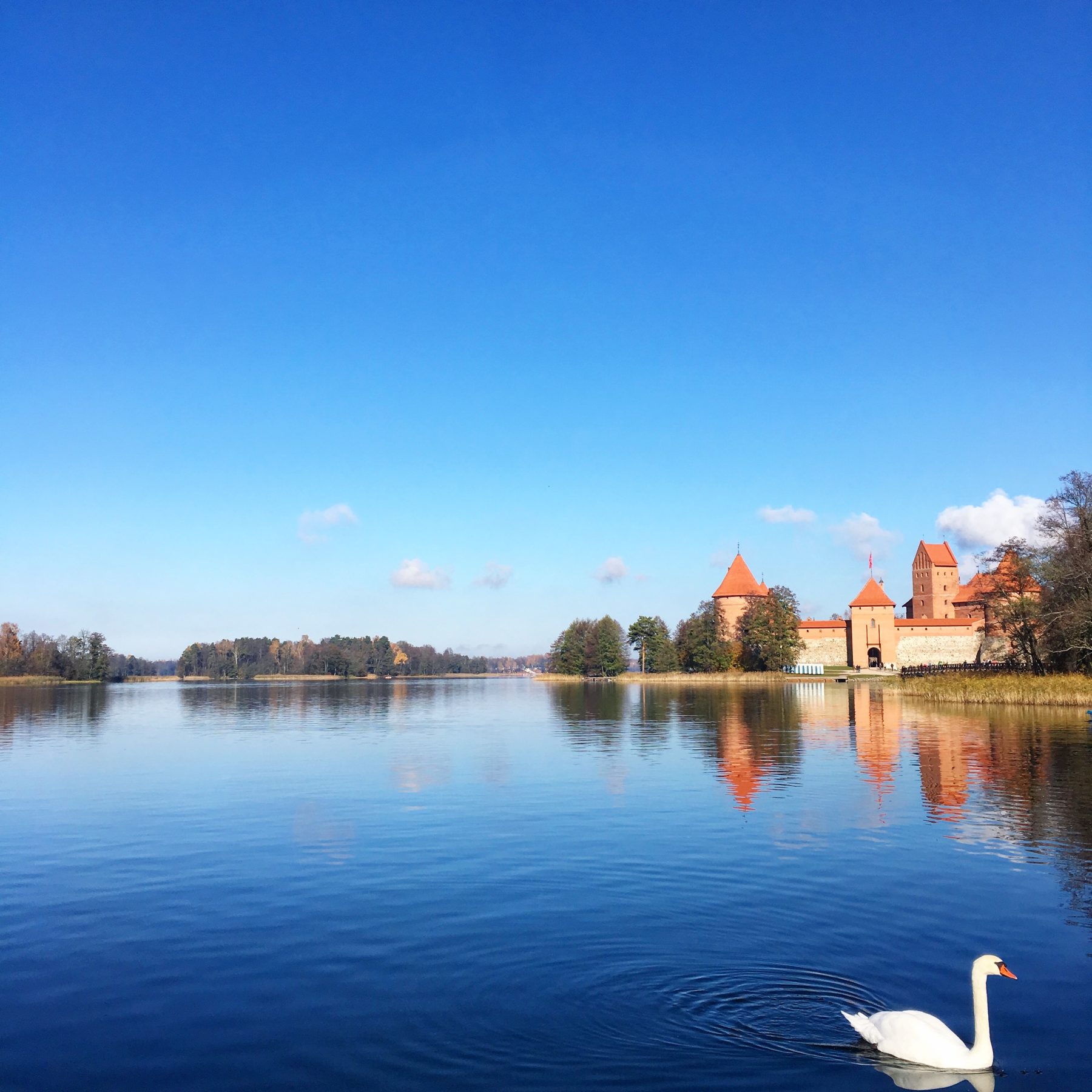 Travel to Vilnius with Exeter International