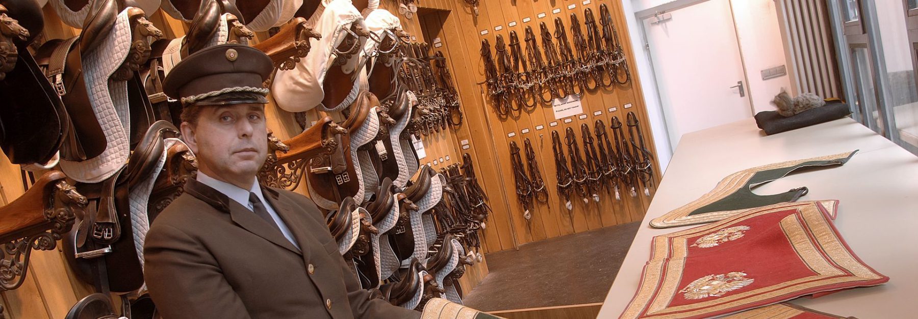 Visit Vienna's famous Spanish Riding School – Exeter International